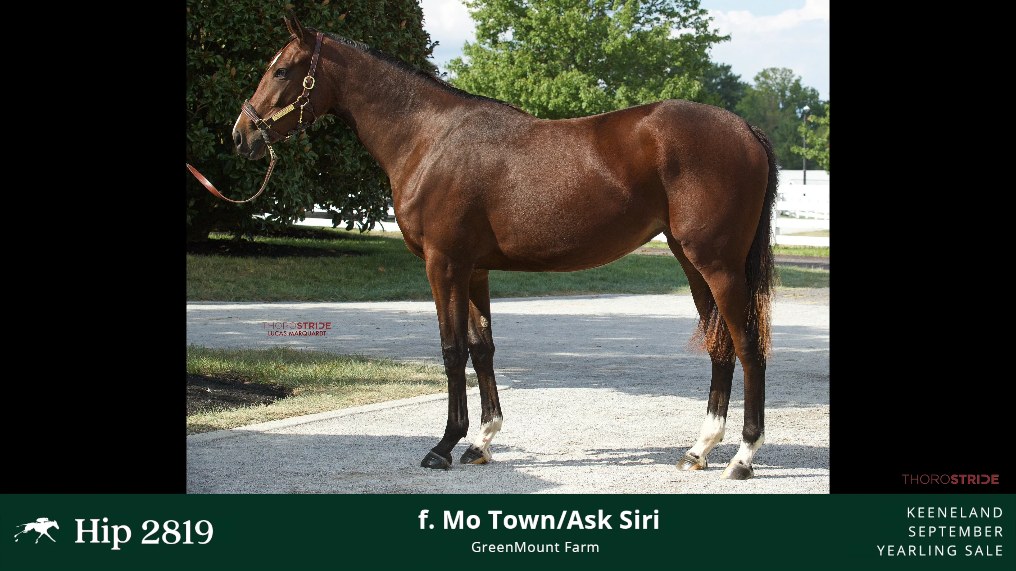 KEESEP23_Hip 2819_Ask Siri 22 on Vimeo