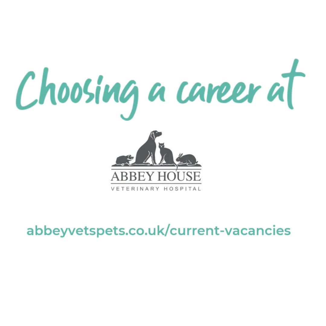 Amanda Shares Her Experience working at Abbey House Veterinary Practice ...