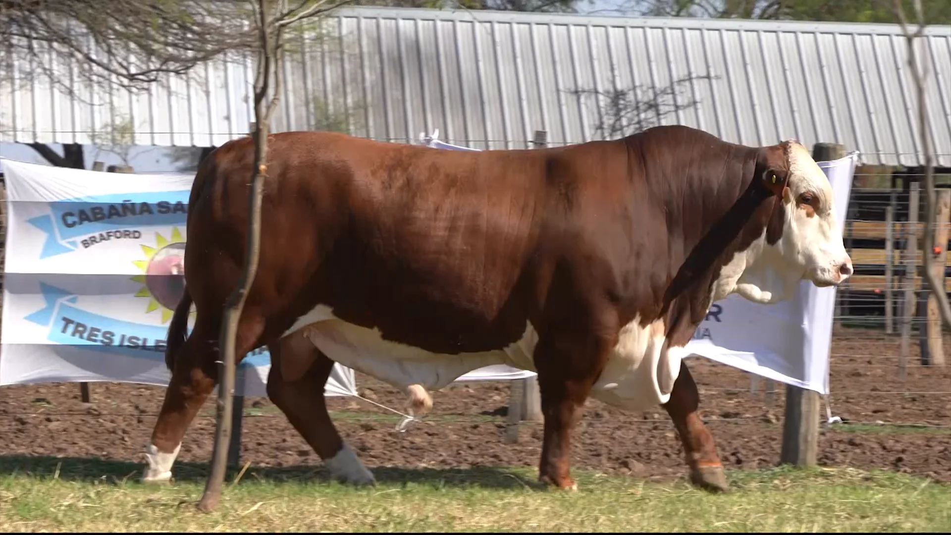 24 SAN ESTEBAN TRES ISLETAS IND 2459 on Vimeo