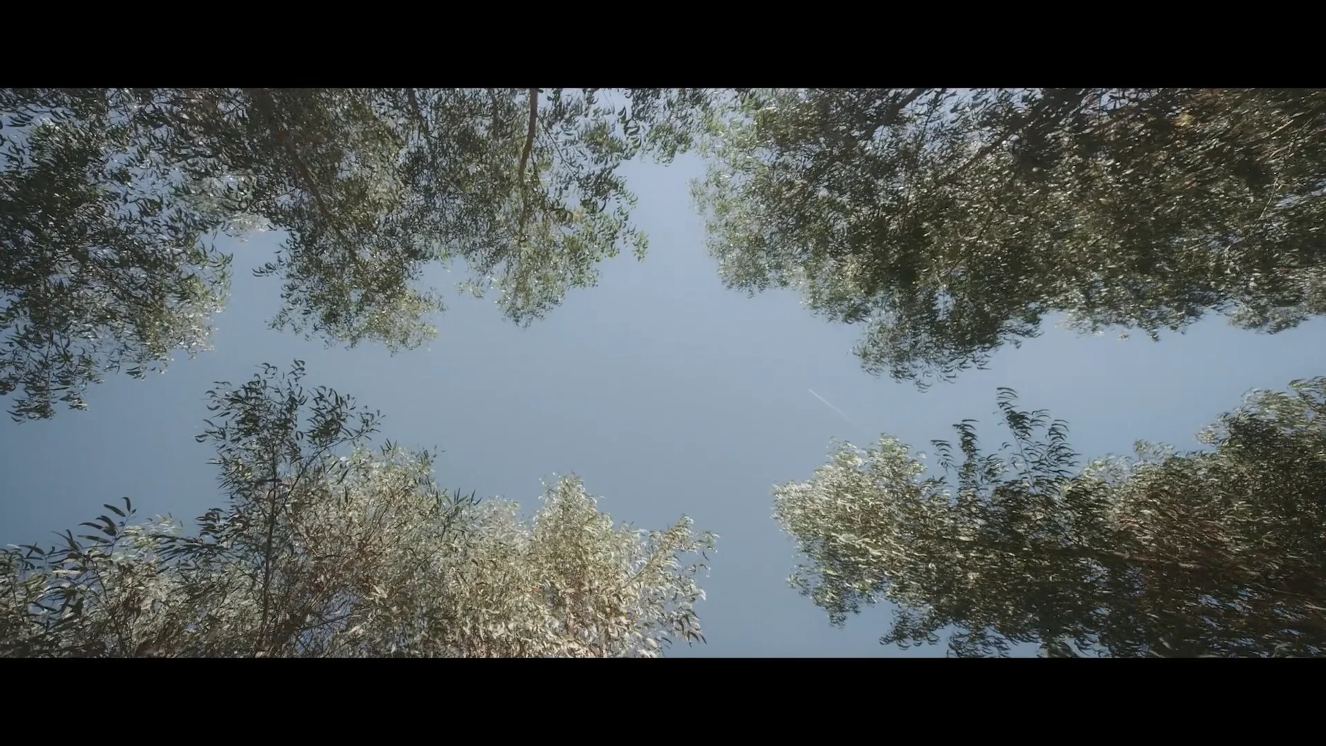 Contos do Esquecimento | Tales of Oblivion - Trailer (2023)