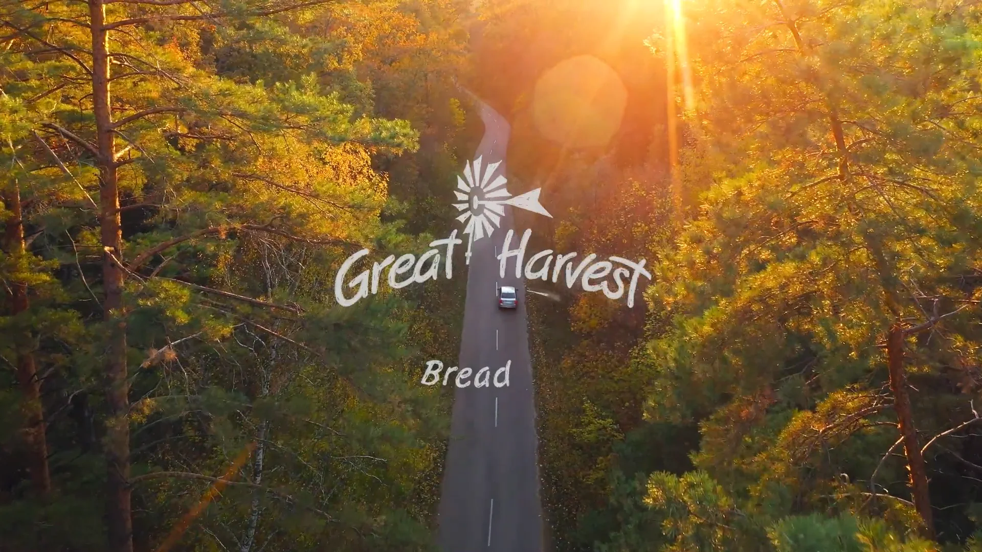 Katy_FALL_2023 on Vimeo