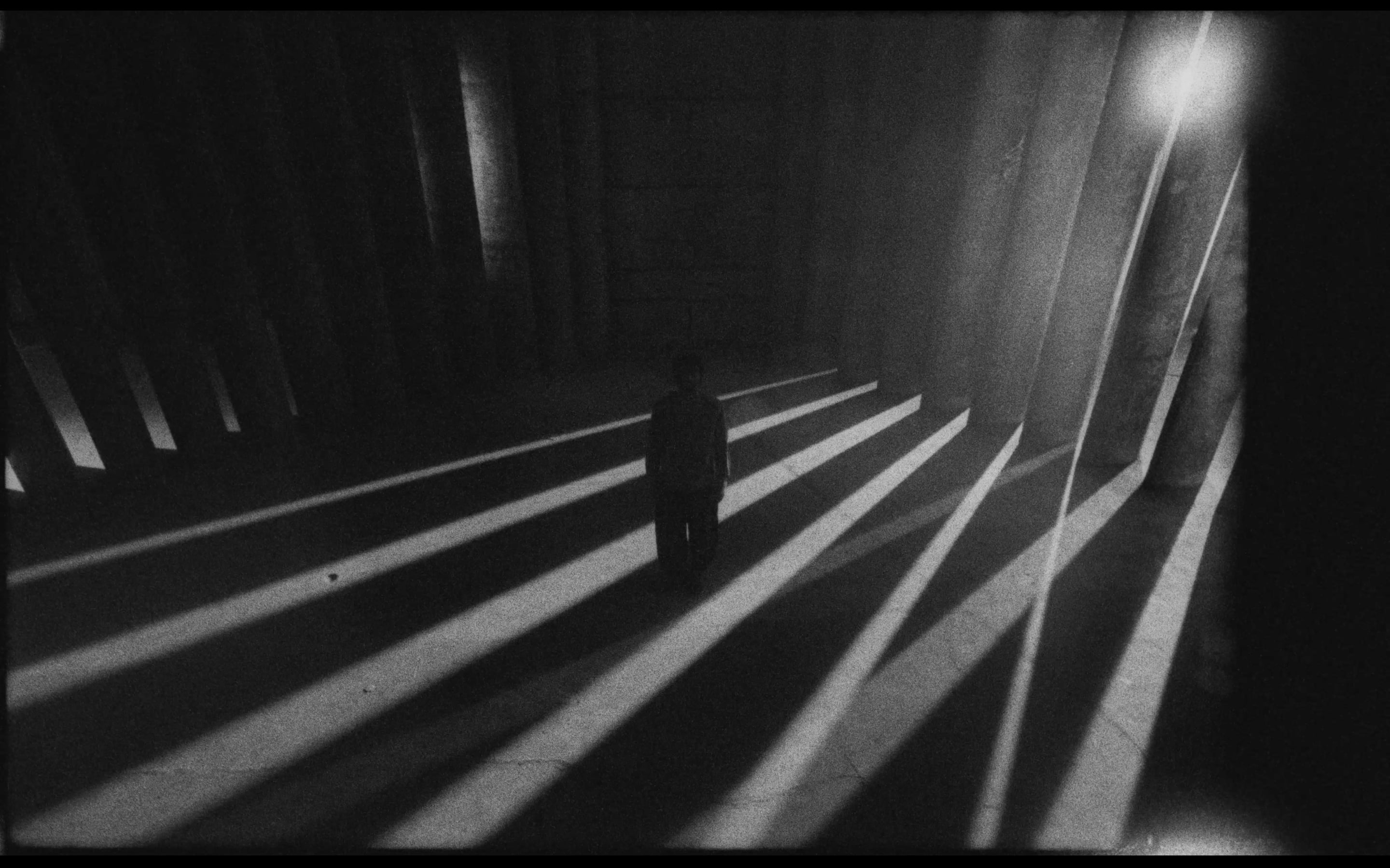 INSIDE THE BLIND IRIS