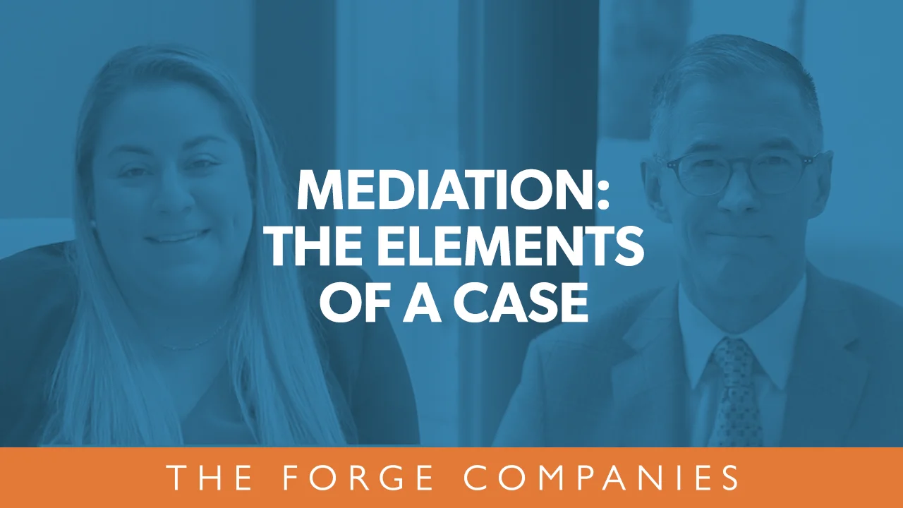 Mediation: The Elements of a Case on Vimeo