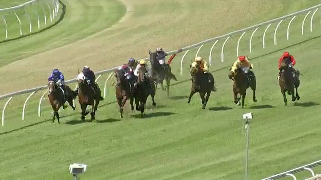 Power - Stallion | Breednet