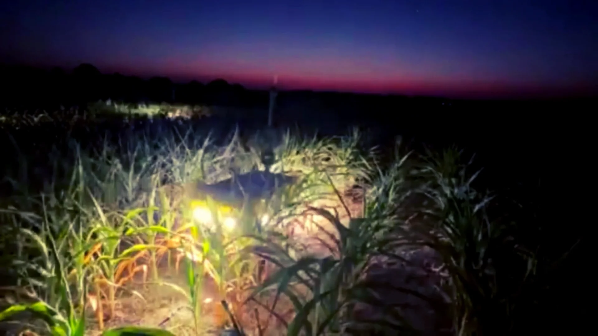 GREENFIELD_BOTS_DARK on Vimeo