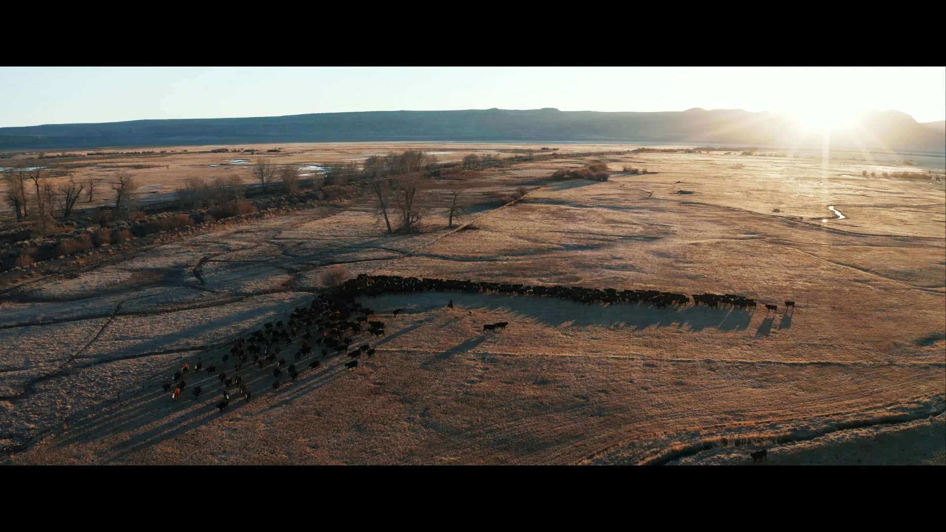 The Outside Circle trailer