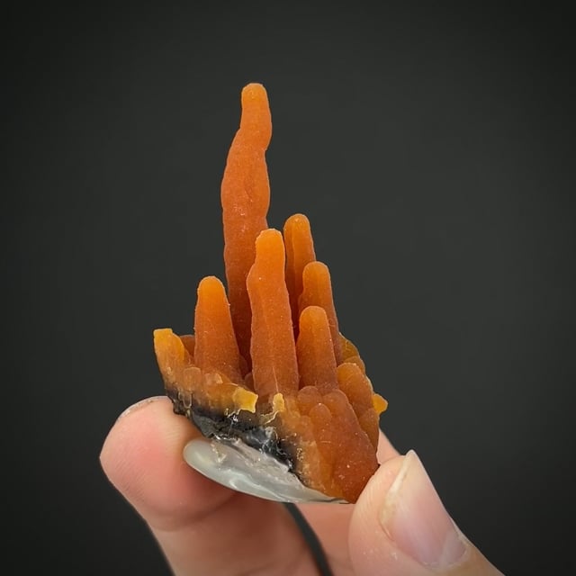 Mixed Mineral Auction!