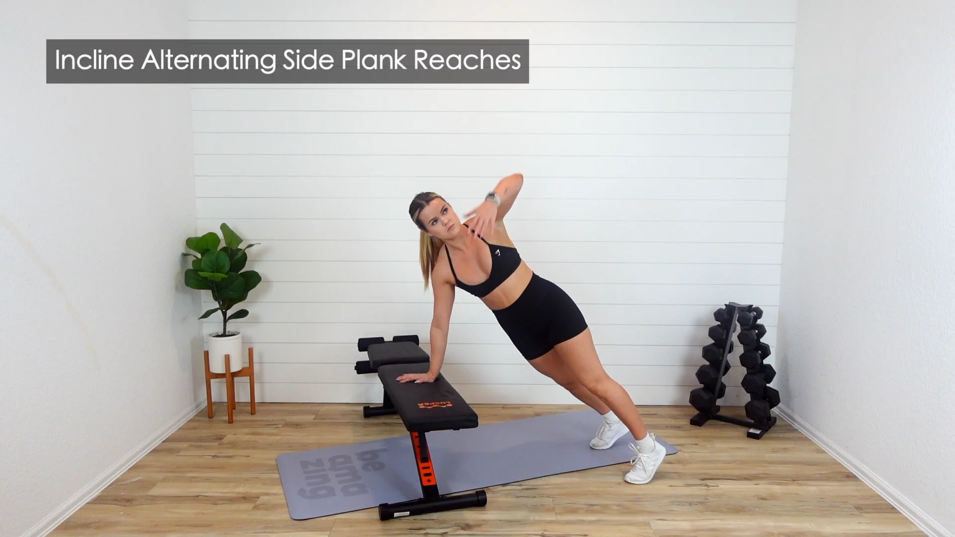Incline Alternating Side Plank Reaches on Vimeo