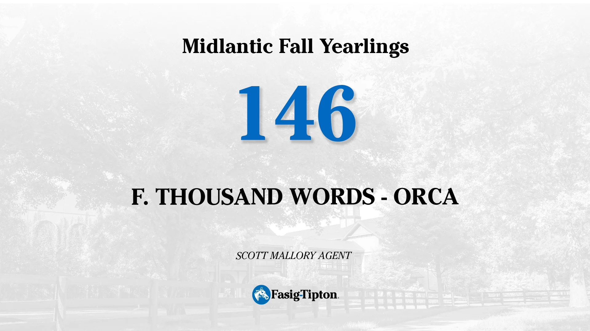 FTMOCT23_Hip 146_Orca 22 on Vimeo