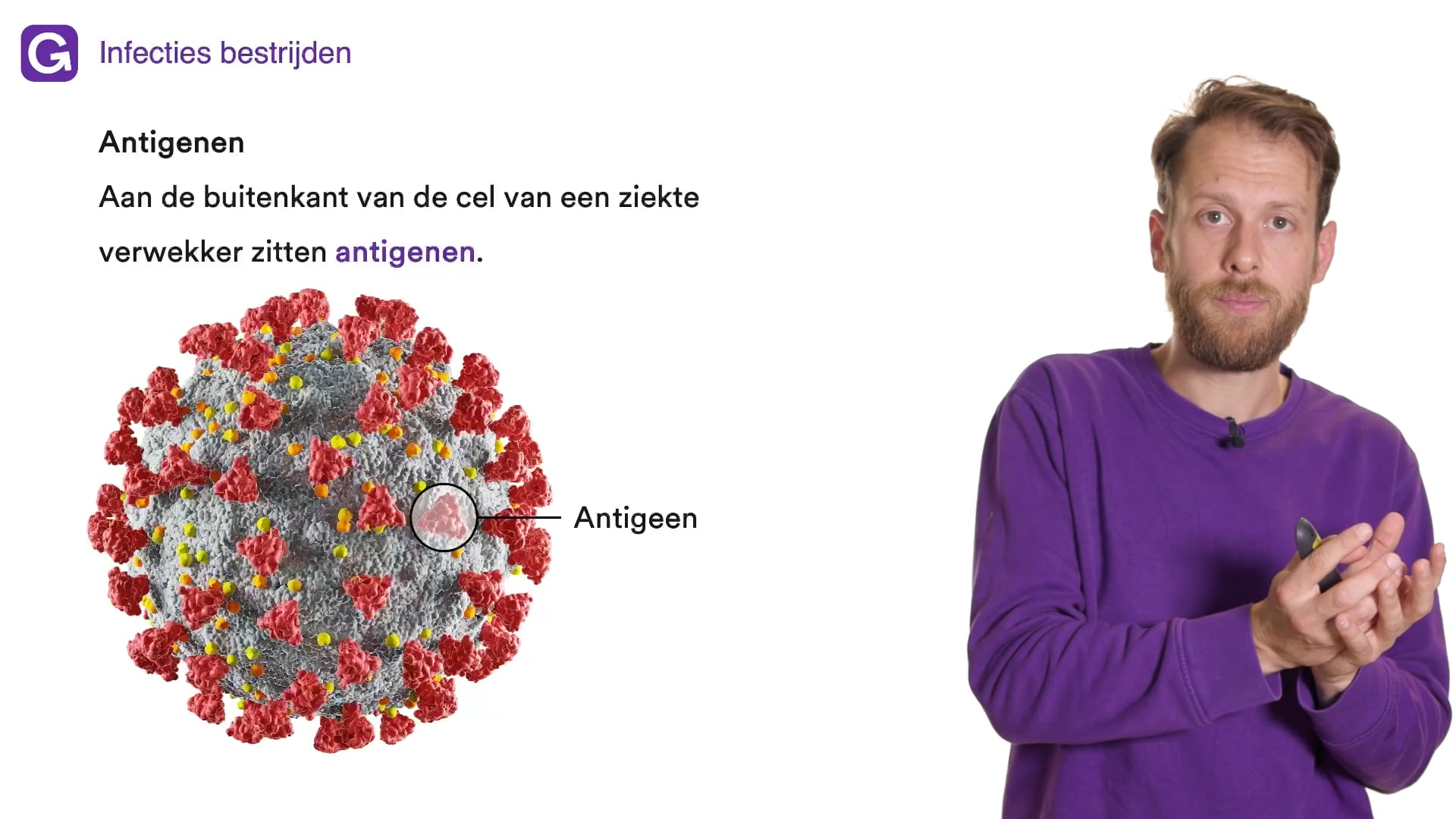 Infecties bestrijden oefenen | StudyGo