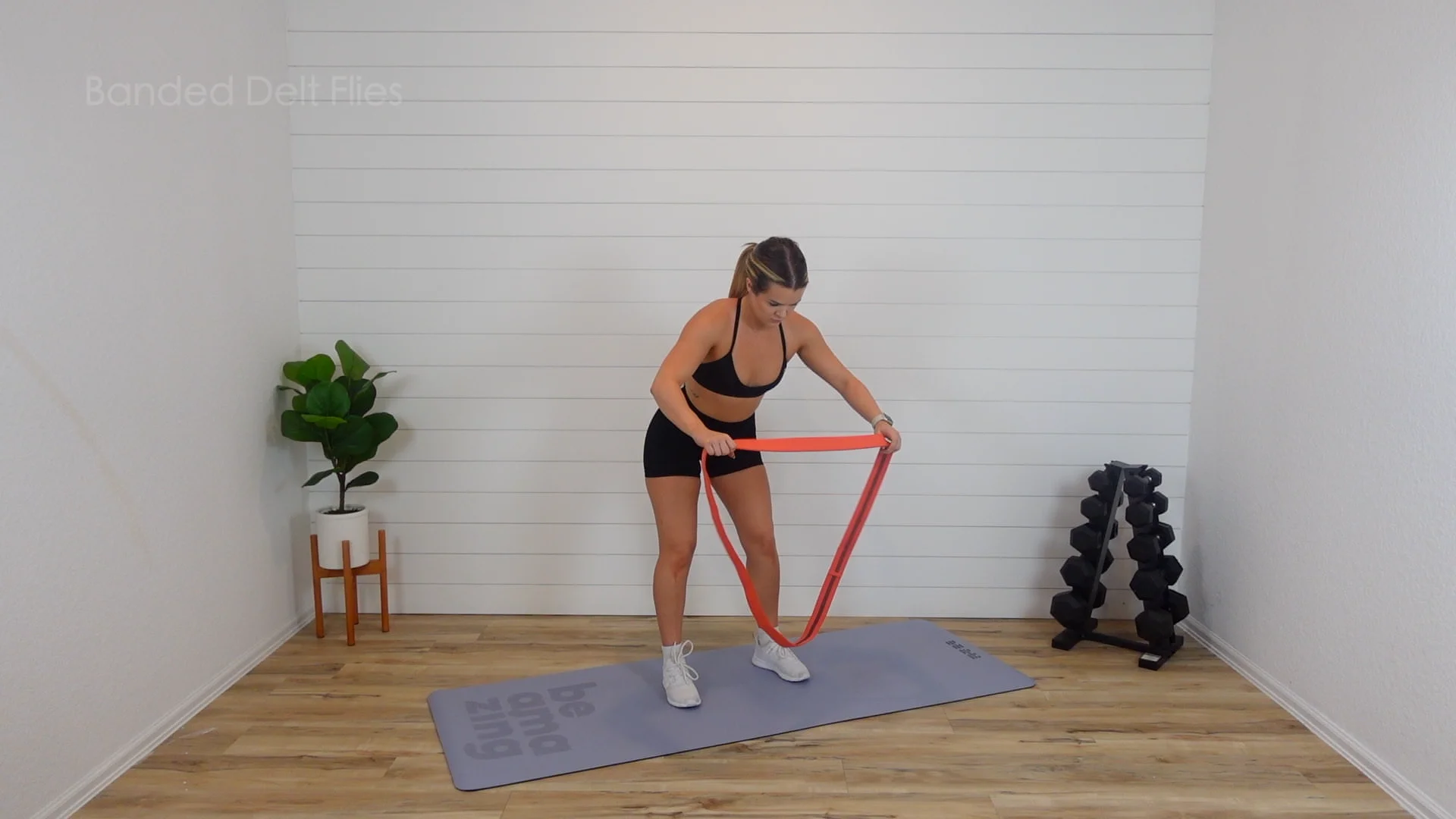 Banded Delt Flies on Vimeo