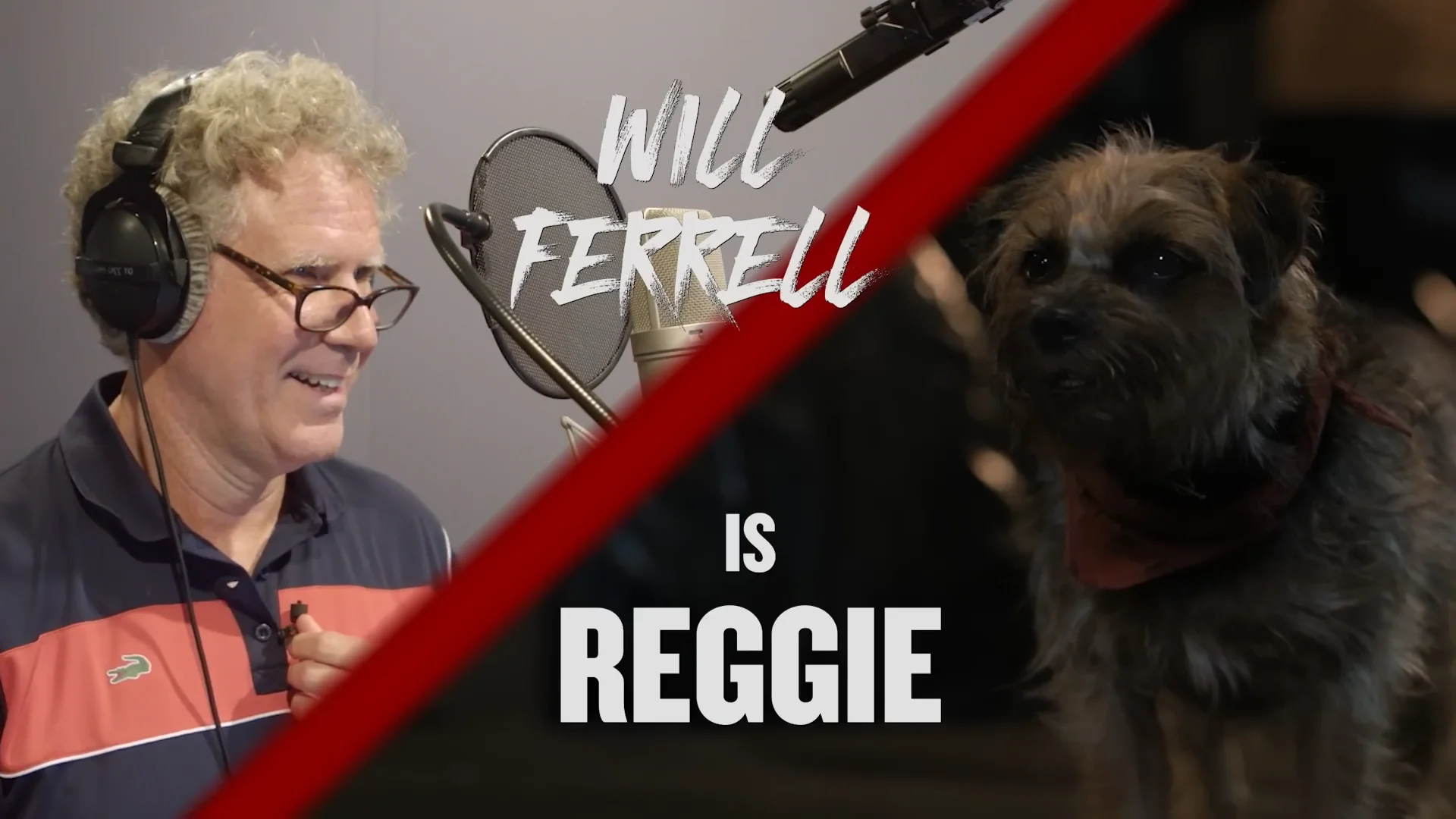 Strays: Meet Reggie - Featurette on Vimeo