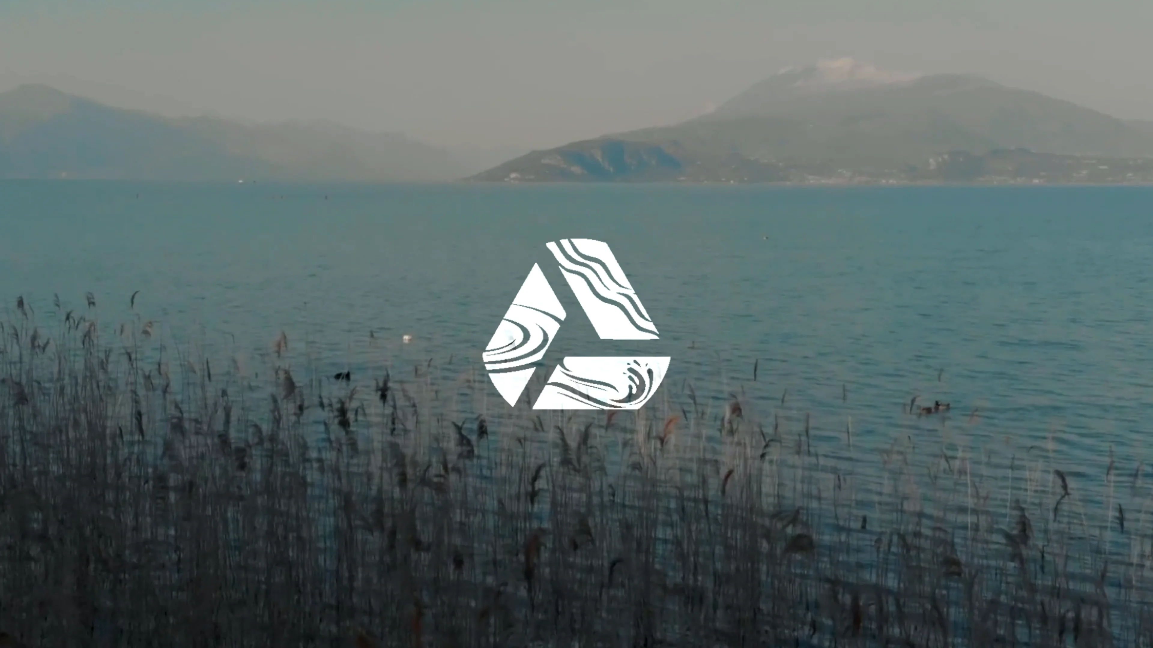 Alarivean: Impact Ready