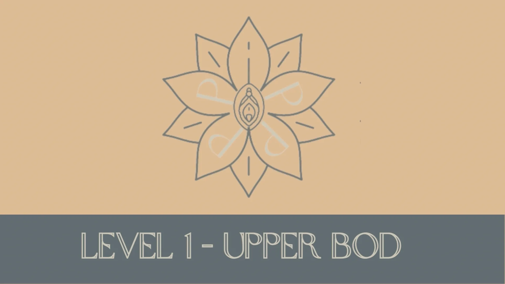 Level 1 - Upper Body on Vimeo