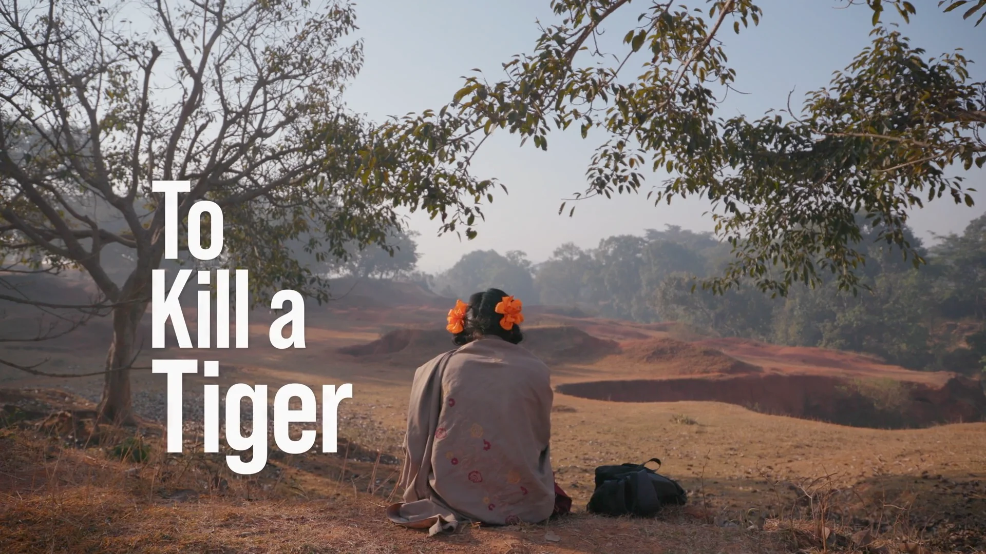 Tiger master 1_H.264