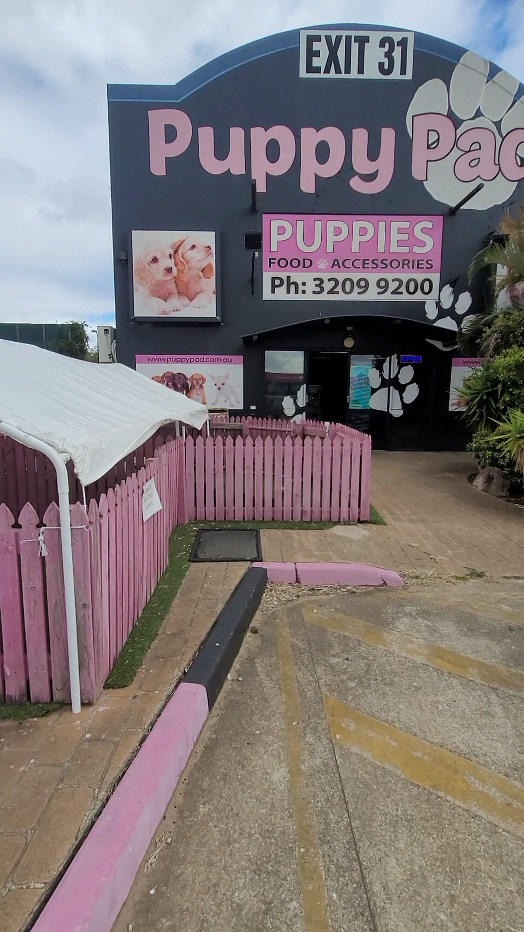 Puppies for Sale in Brisbane - Visit PuppyPad pet shop