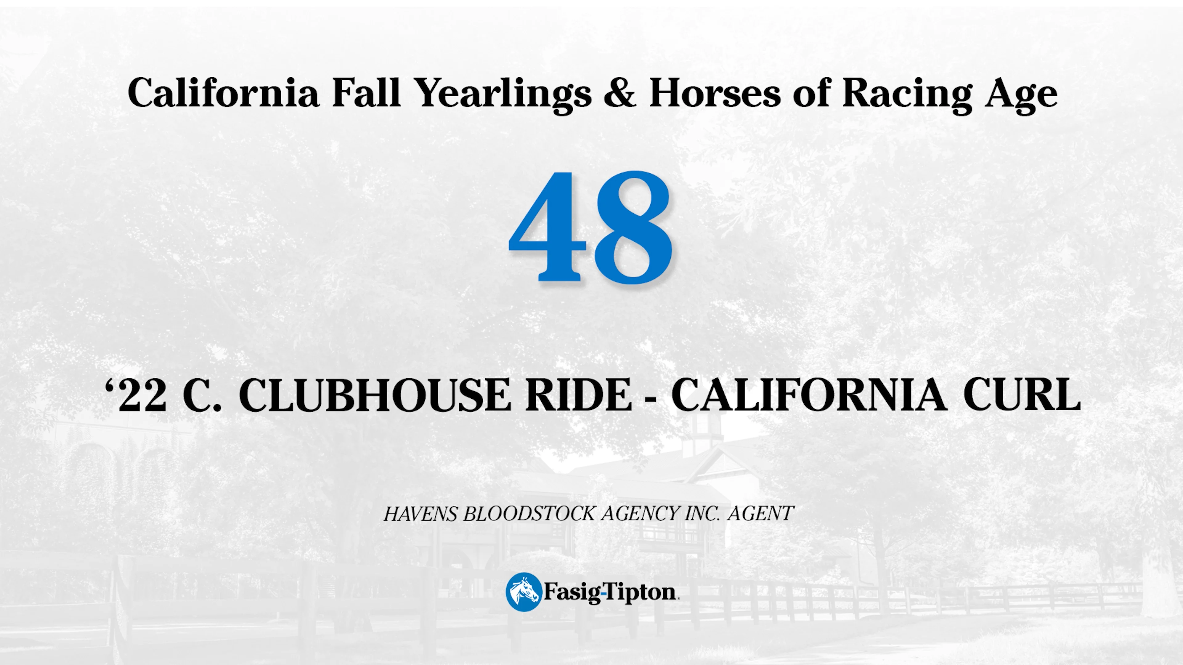 FTCAFY23_48_California Curl 22