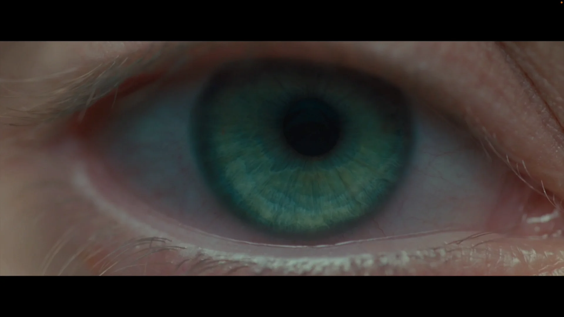 NYU Thesis: Blade Runner 2049 (2017) [Stereo Version] on Vimeo