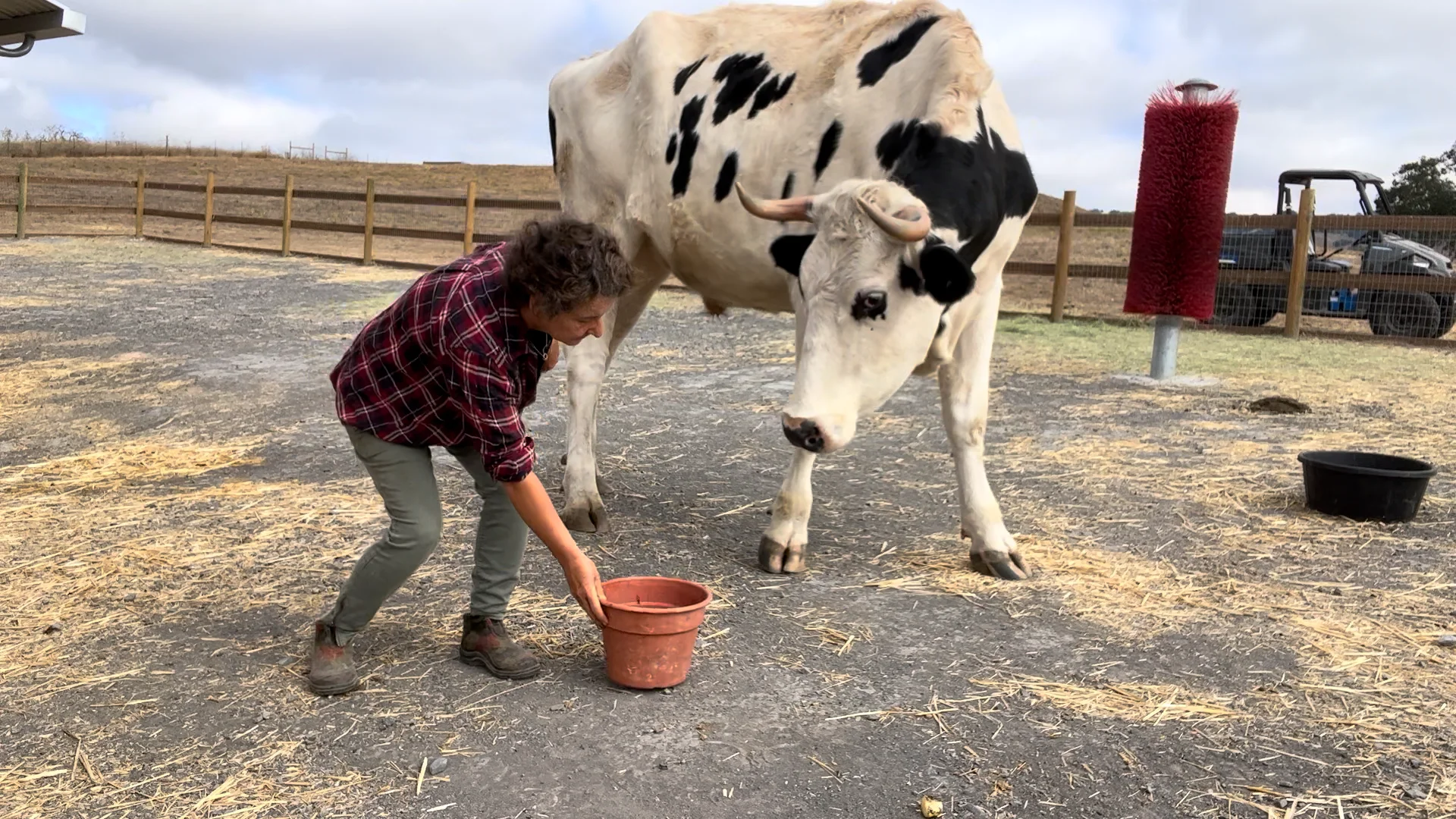 Pickle Nose in a Pot Session 1d on Vimeo