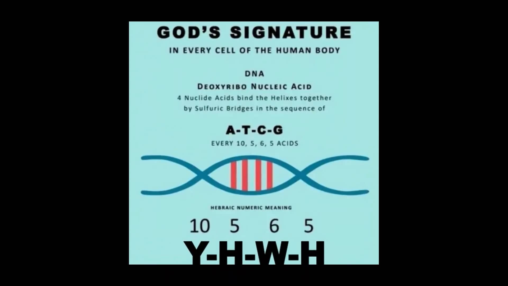 God's Signature on Human DNA on Vimeo