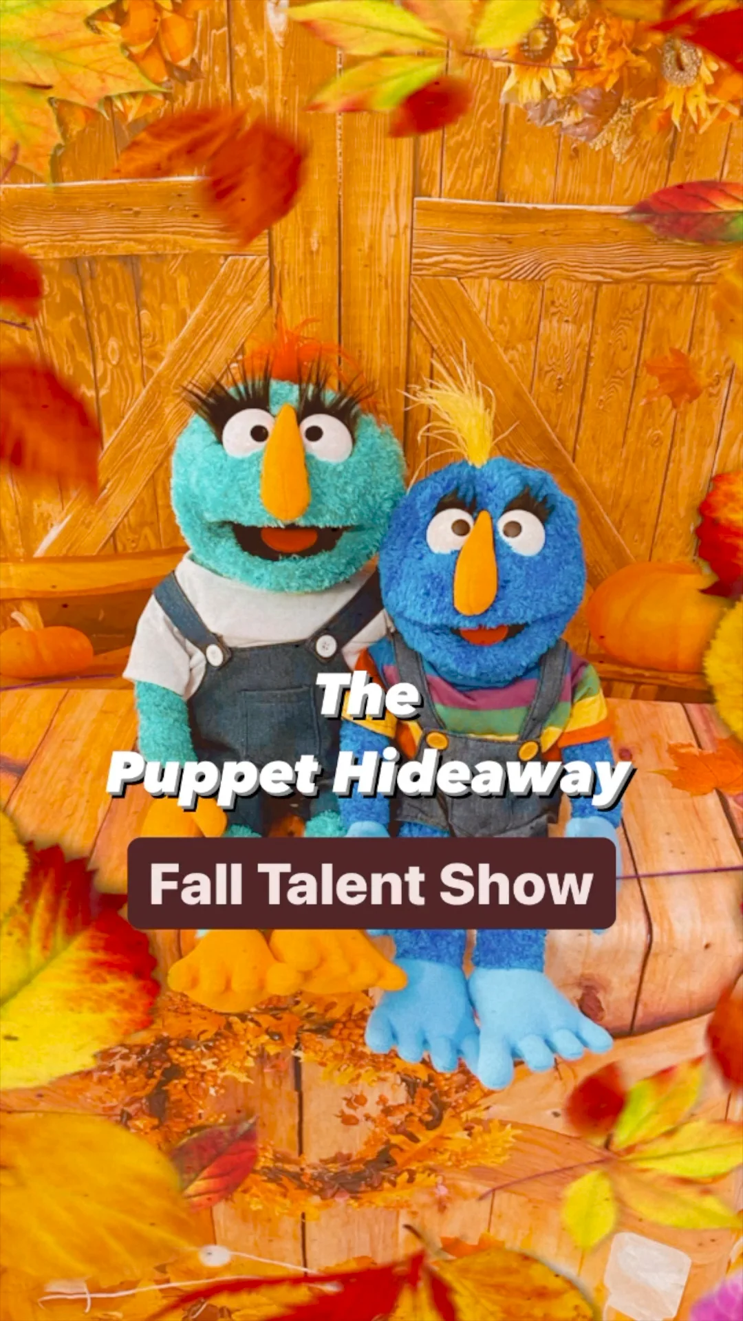 Fall Talent Show (Full) on Vimeo