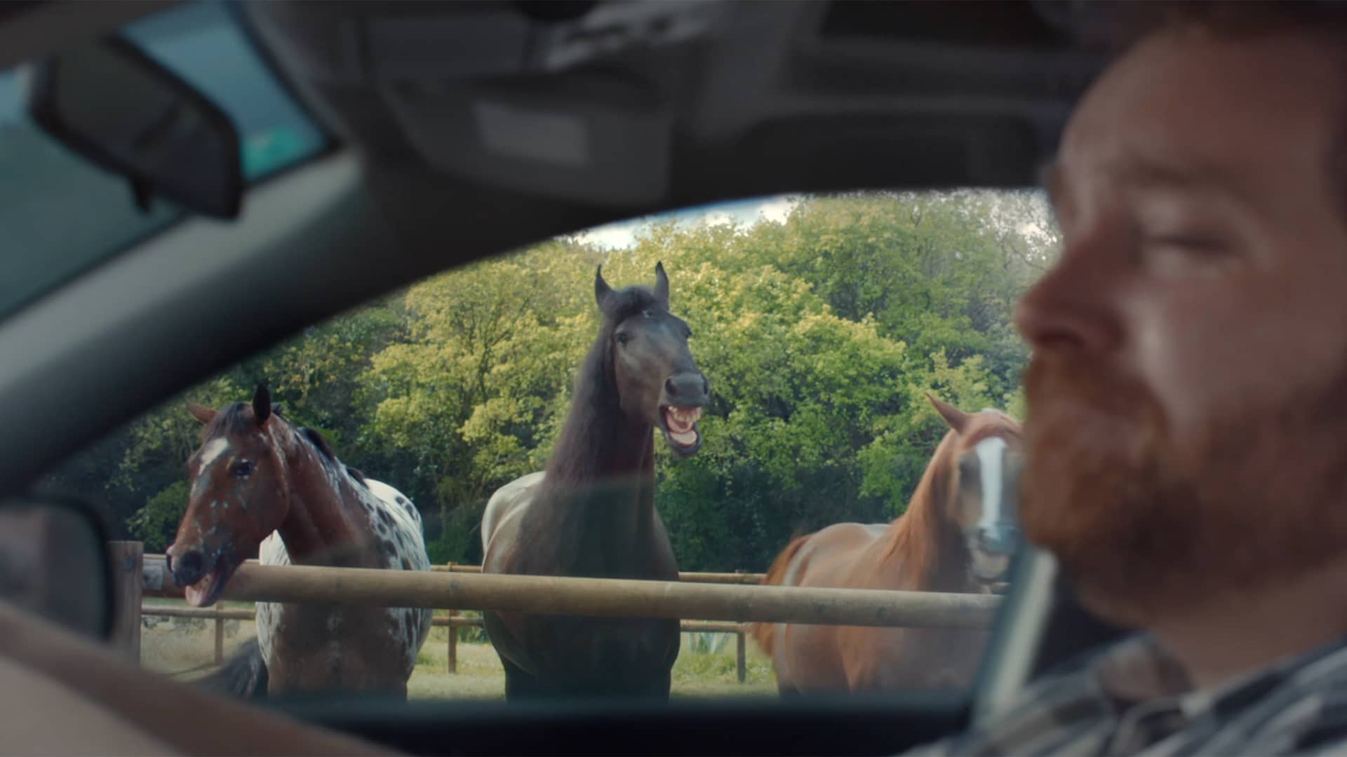 Volkswagen - Horses on Vimeo
