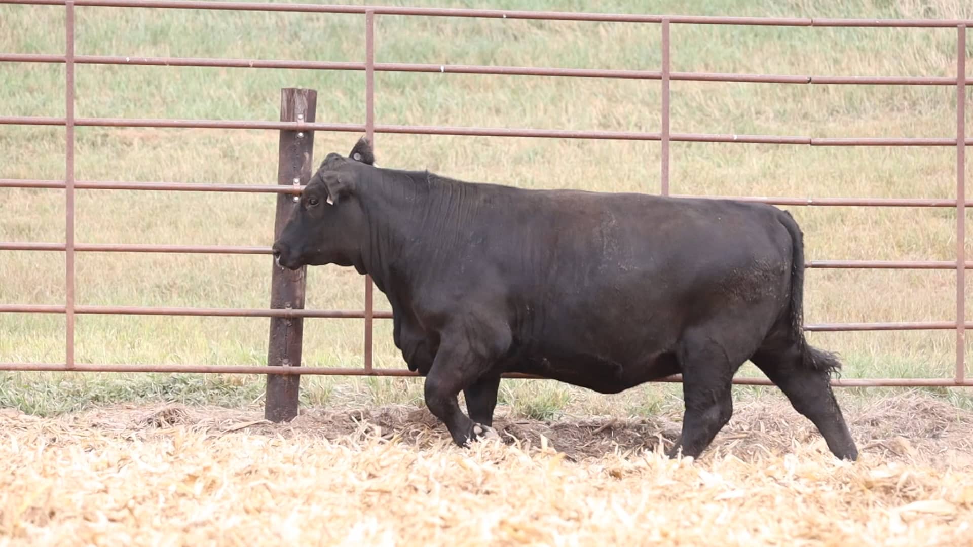 K333 on Vimeo