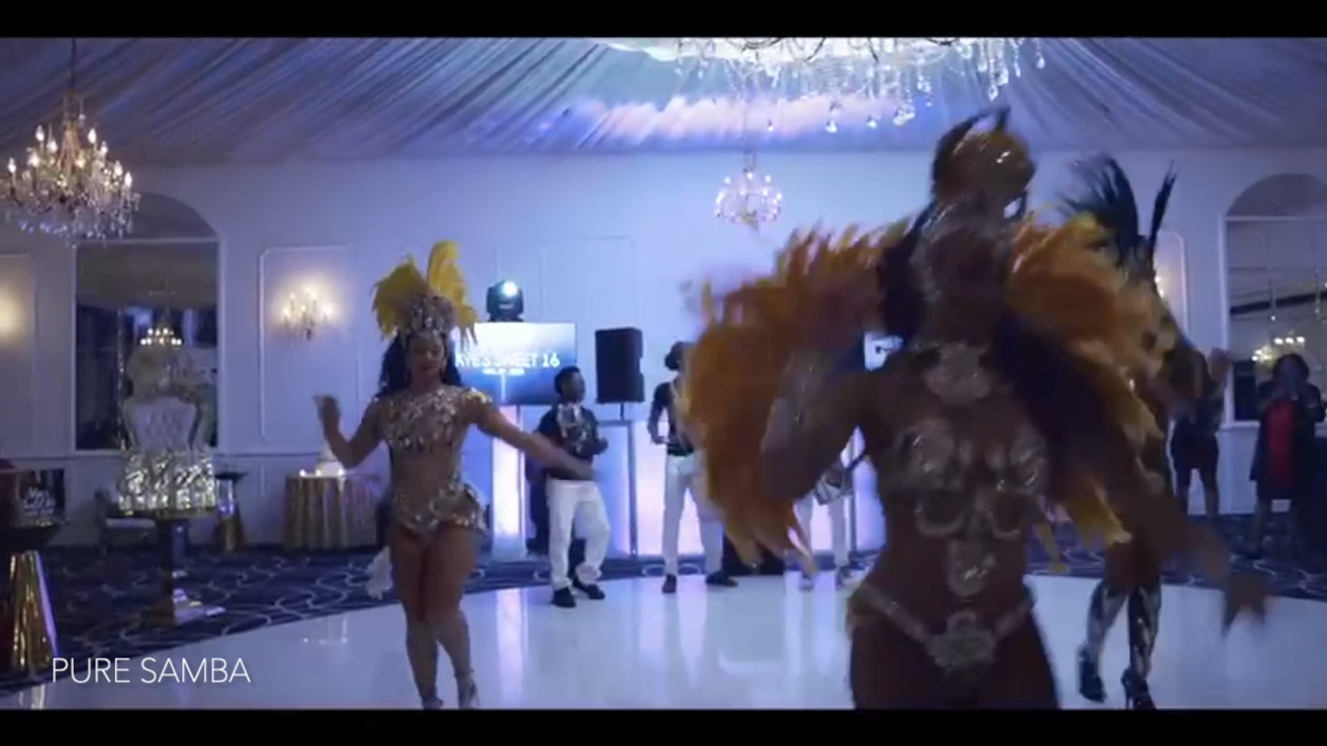 Hire Pure Samba Entertainment - Samba Dancer in New York City, NY ...