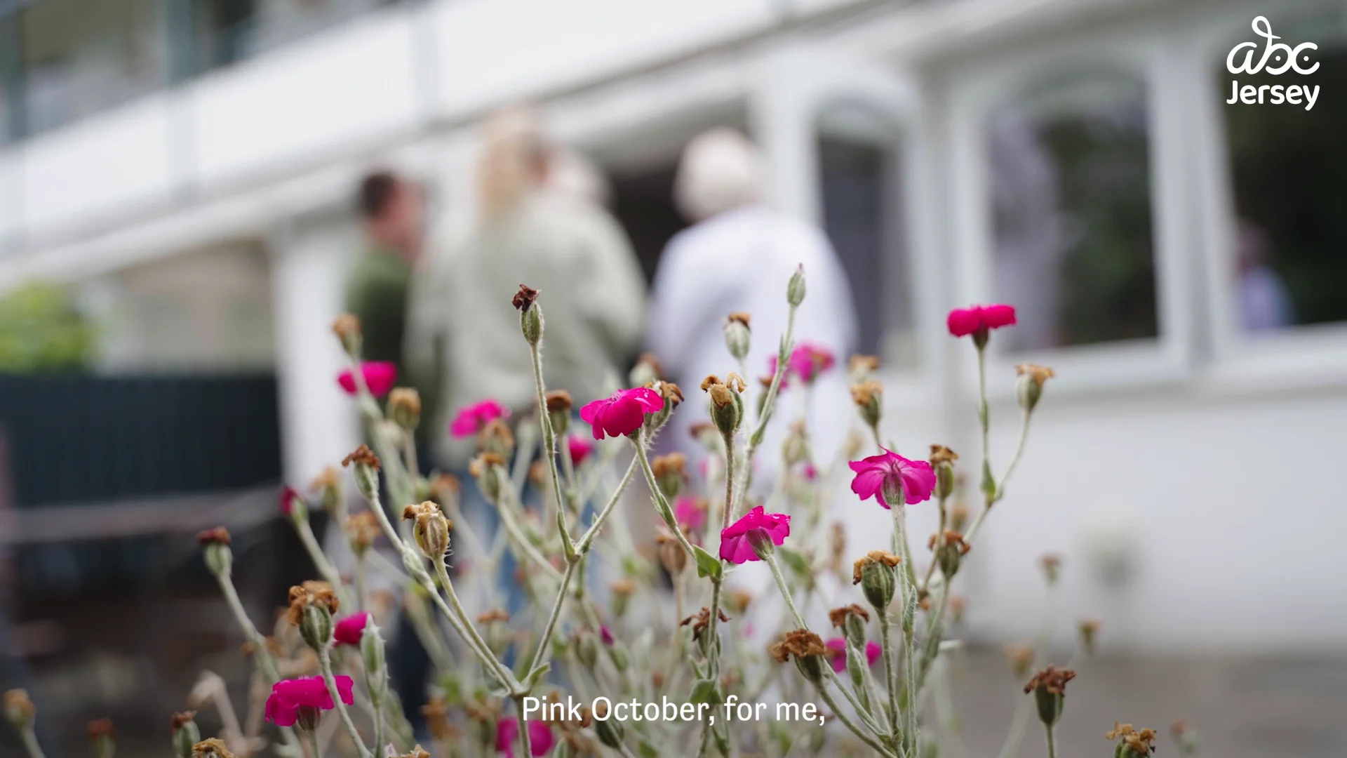 ABC_ARTIST-WEBSITE_V3 on Vimeo