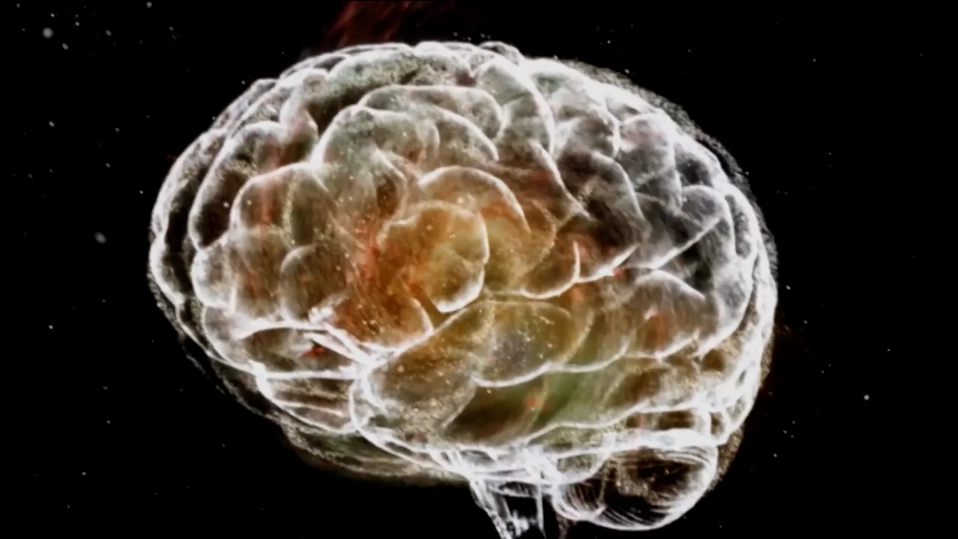 M1A0 - Apresentação on Vimeo