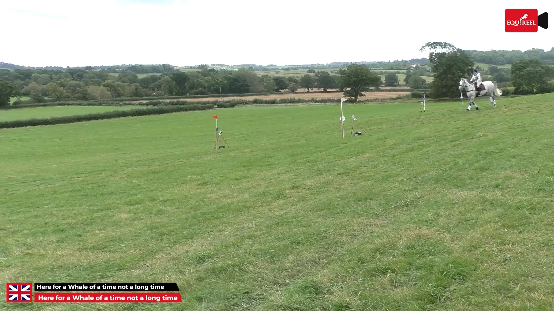 EQUIREEL 34 Here for a Whale of a time not a long time & Here for a ...