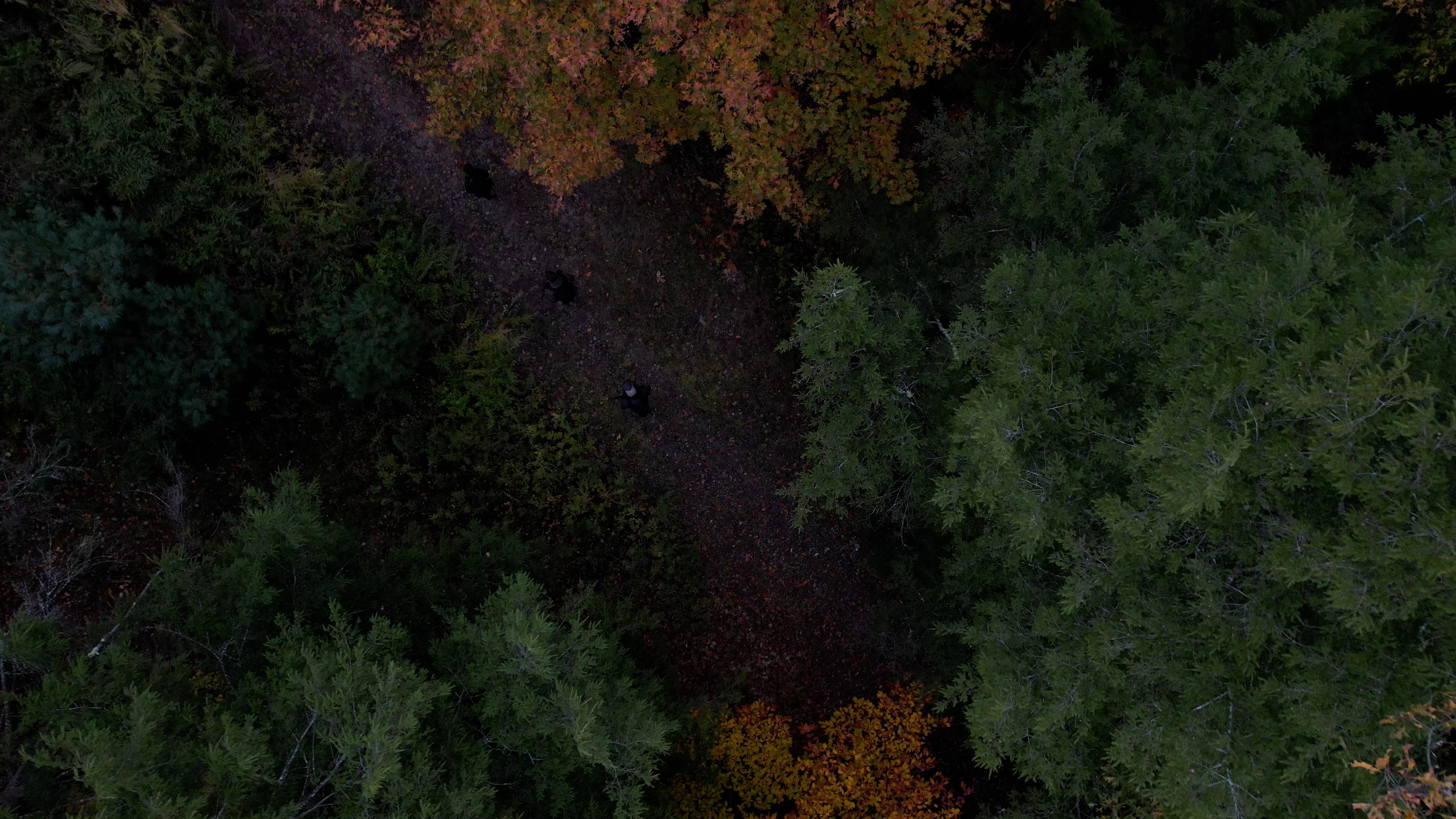 #21 on Vimeo