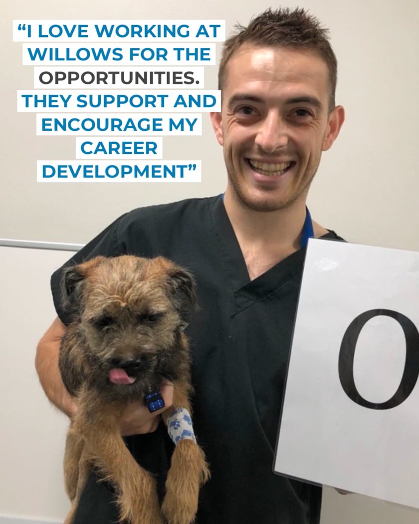 Careers | Willows | West Midlands