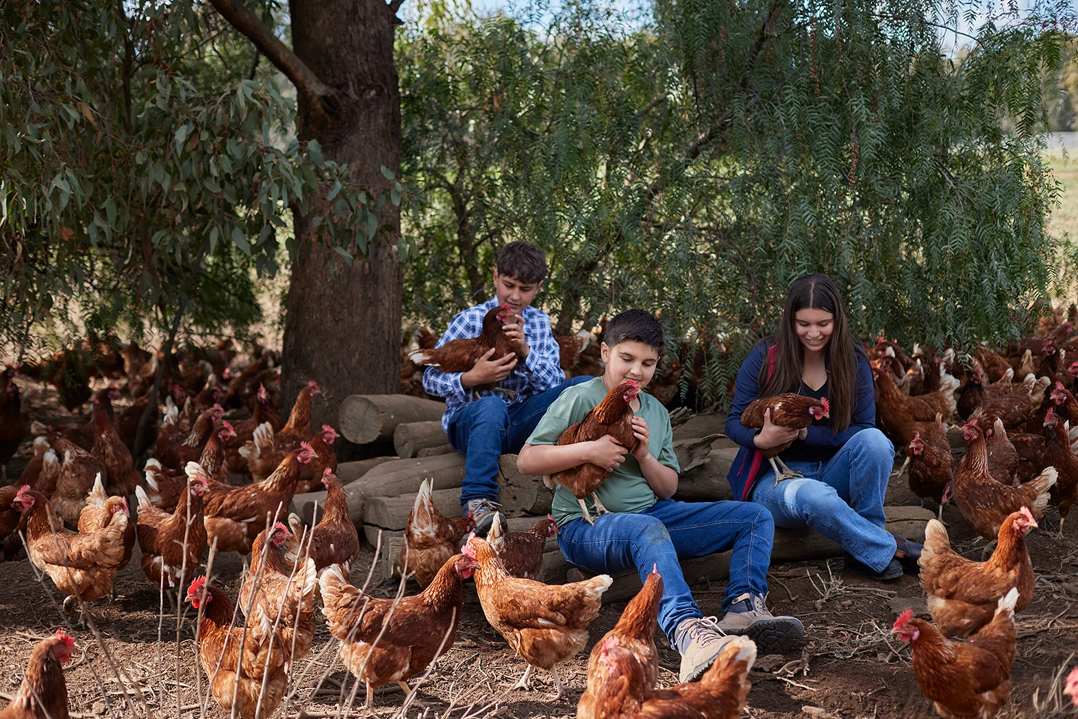 The Story Behind Fyfe Family Eggs on Vimeo