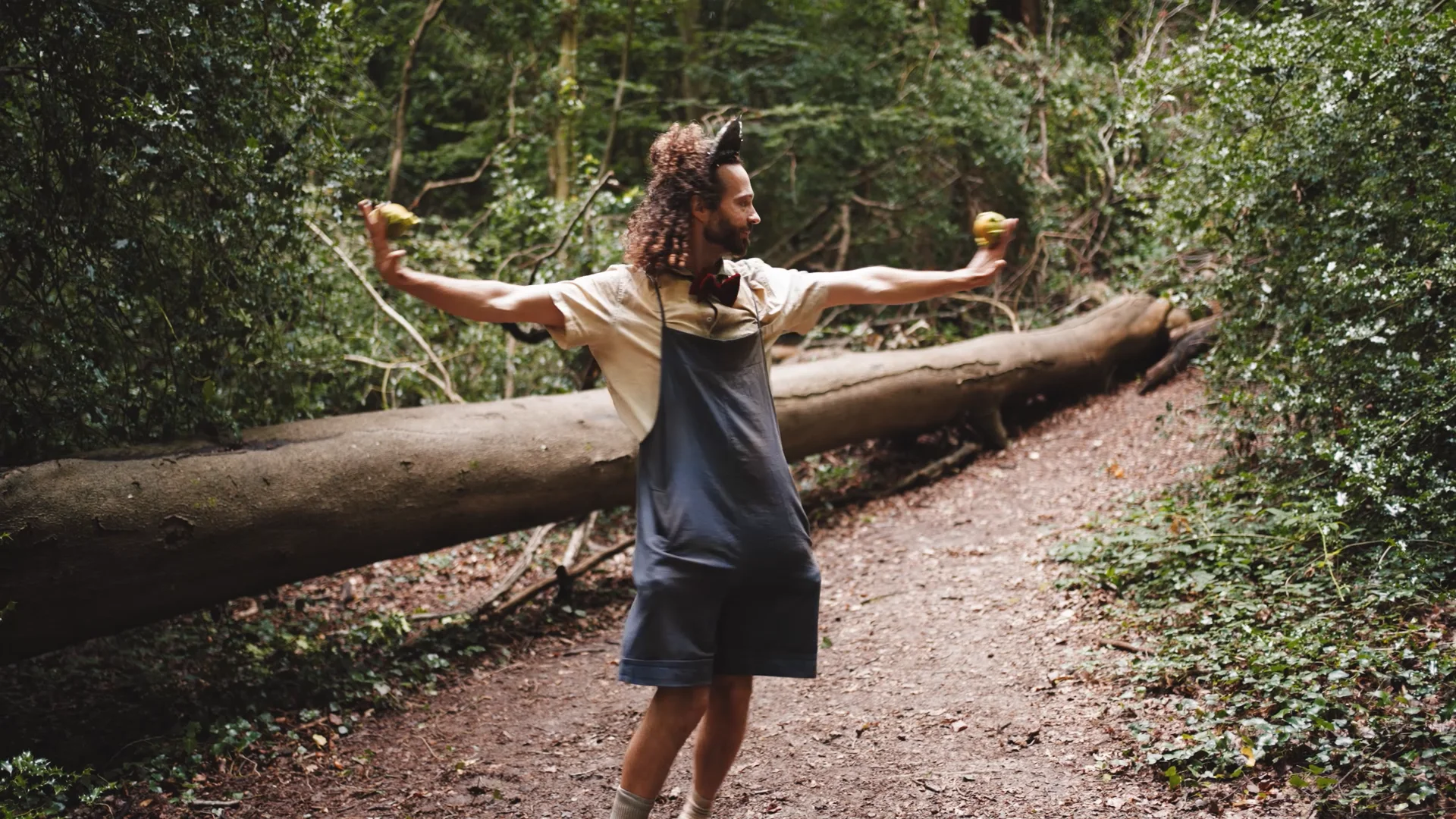 LOOK UP LOOK OUT an immersive woodland performance for children and ...