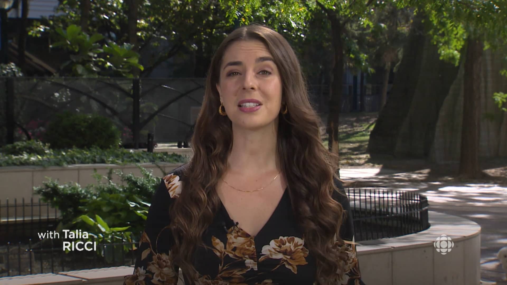 CBC's Talia Ricci discusses The Bow with founder Matthew McLaughlin on ...