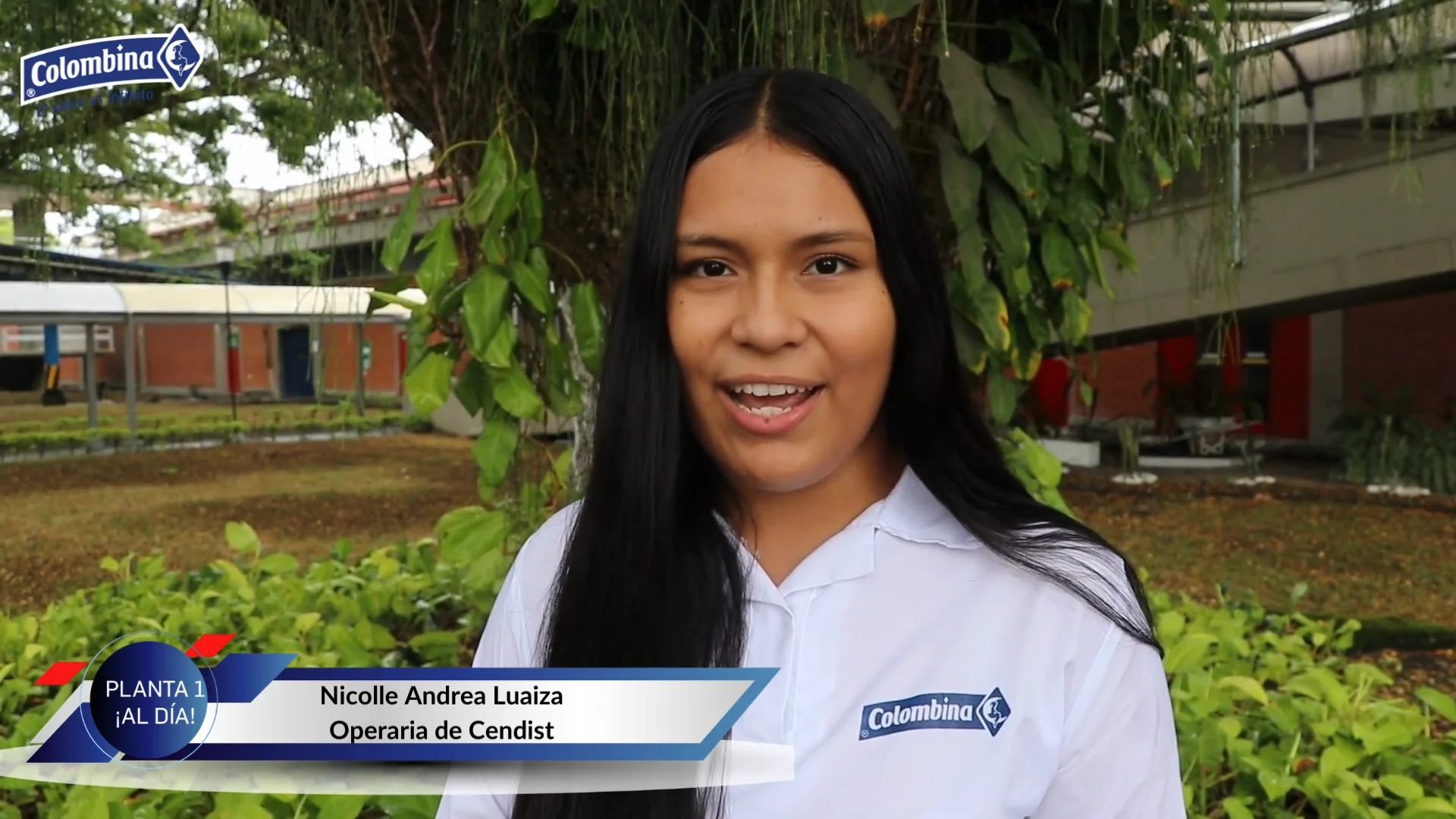 Planta 1 al día - 10 on Vimeo