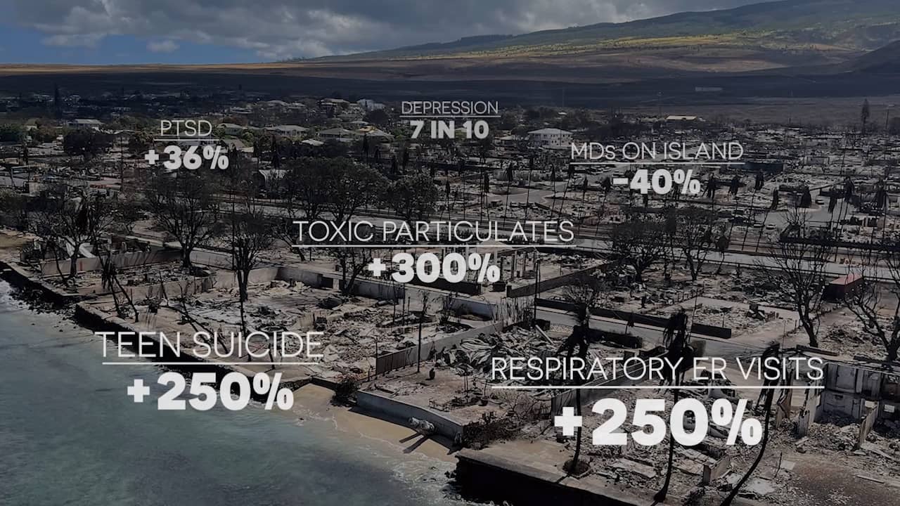 Dr. Jack Lewin on the healthcare needs of Maui—the disaster behind the disaster on Vimeo