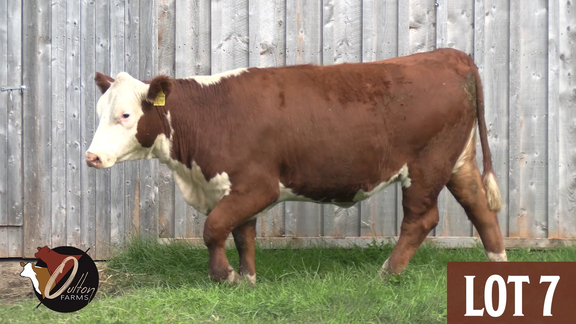 Lot 7 - Oulton Farms on Vimeo