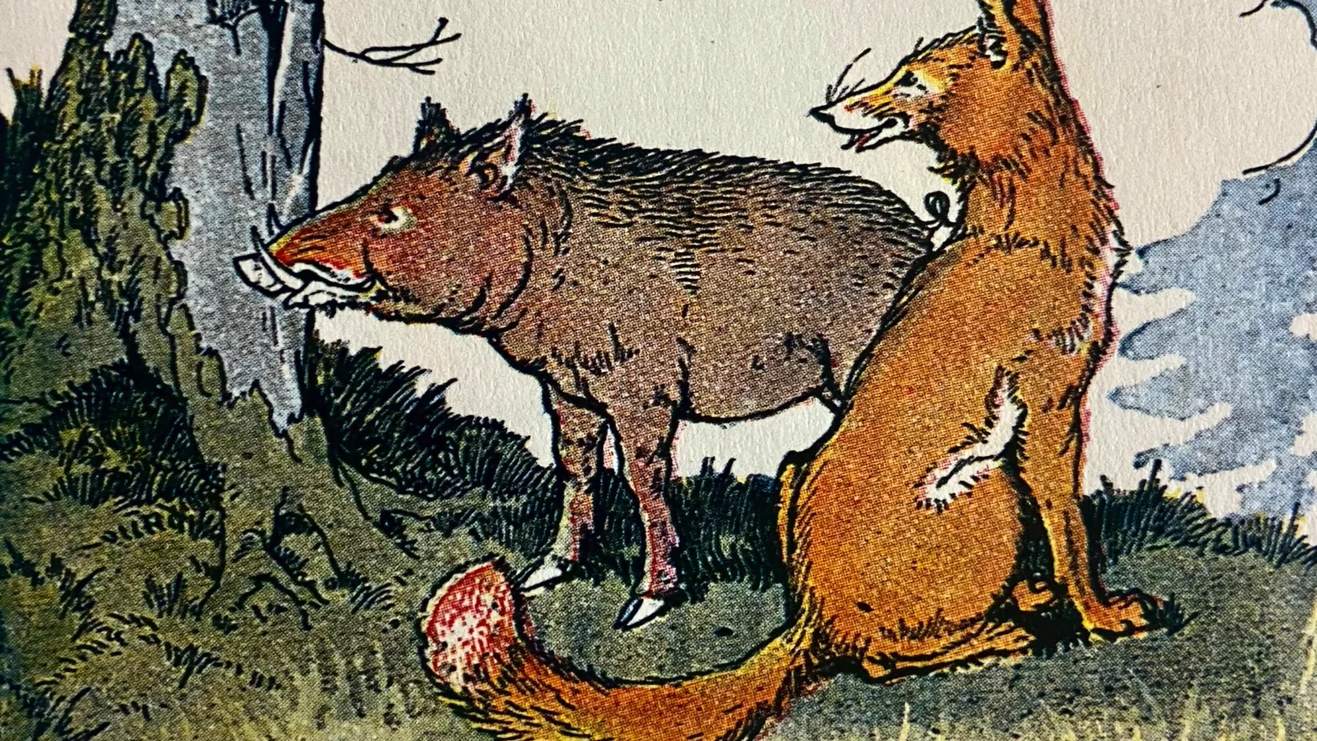 The Wild Boar and the Fox on Vimeo