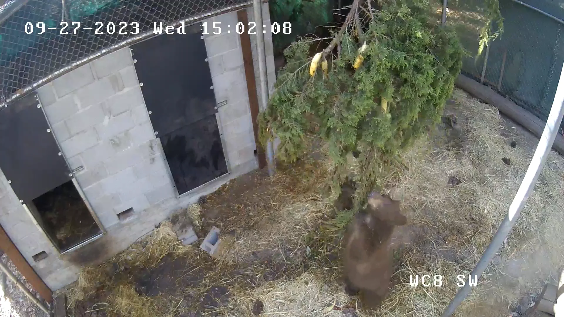 Tree Branch Enrichment on Vimeo