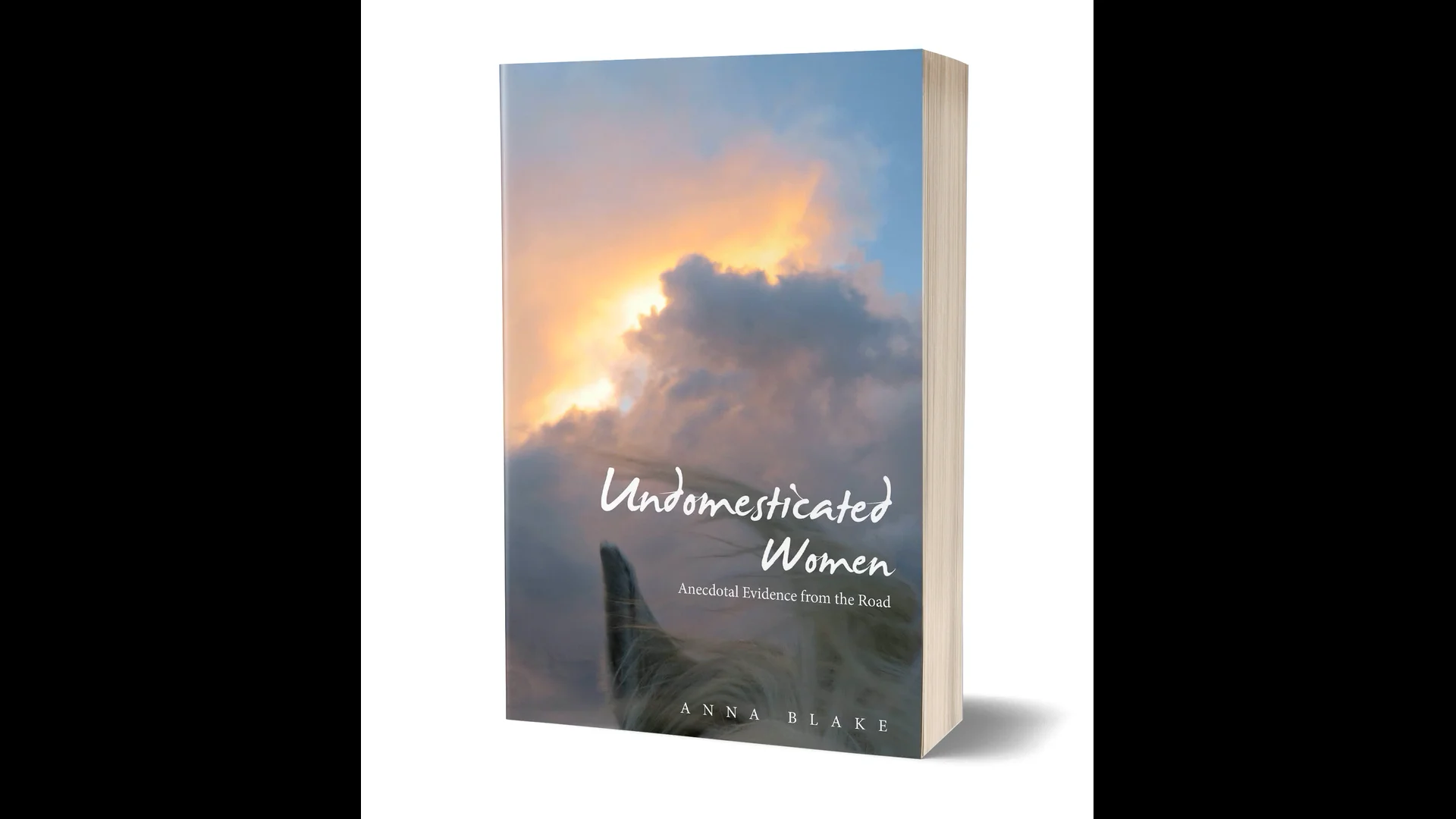 Undomesticated Women Book Trailer on Vimeo