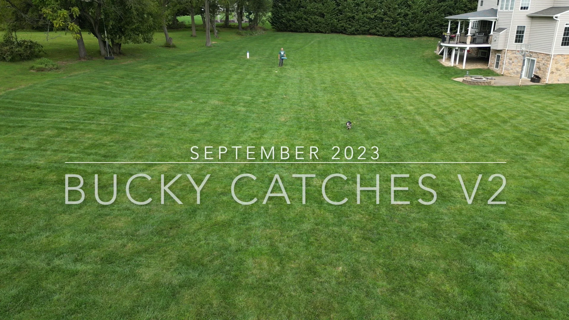 Bucky Catches Volume 2 on Vimeo