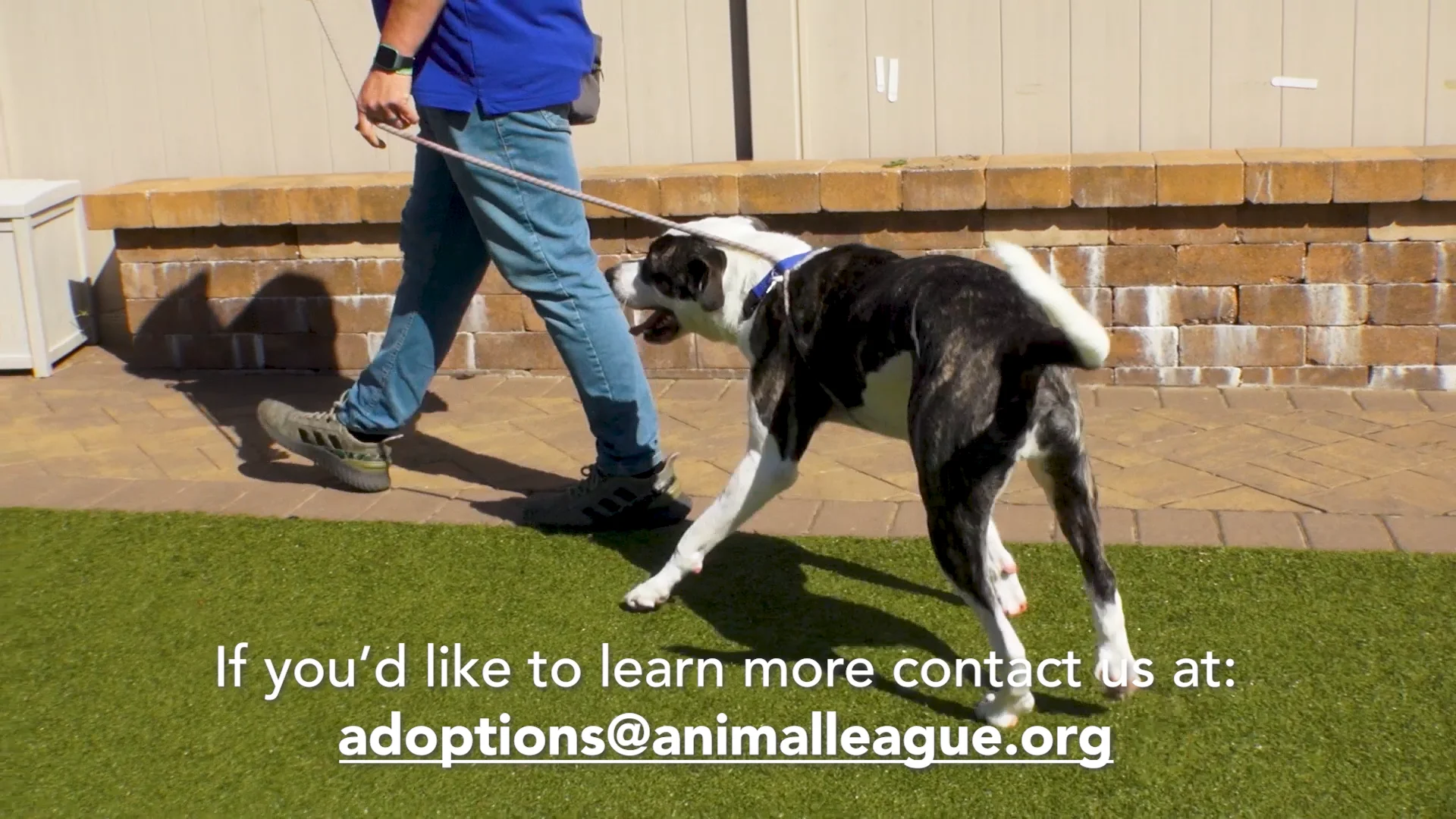 Meet Degul T103468 on Vimeo