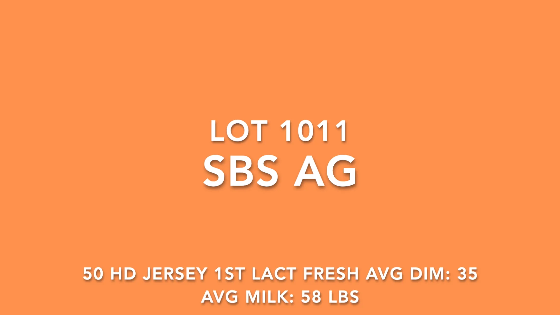 LOT 1011 SBS AG on Vimeo