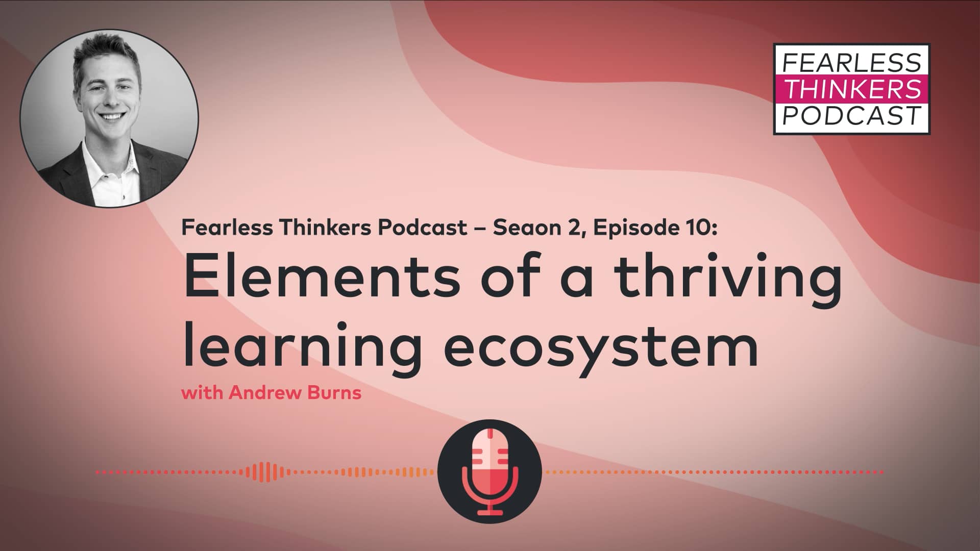 Fearless Thinkers | Season 2, Episode 10 | Elements of a thriving learning ecosystem with Andrew ...