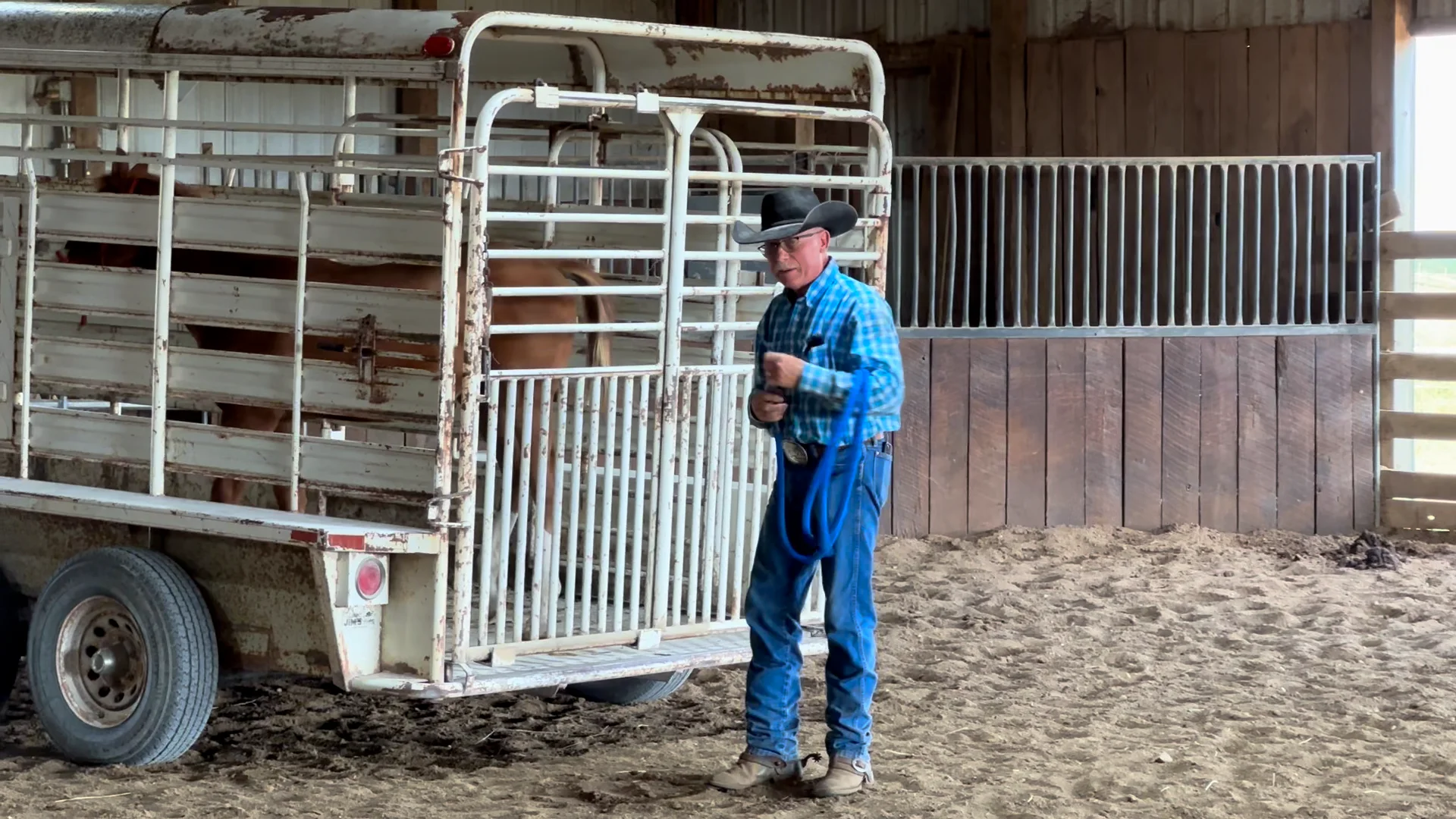 Colts rearing & striking behavior solution on Vimeo