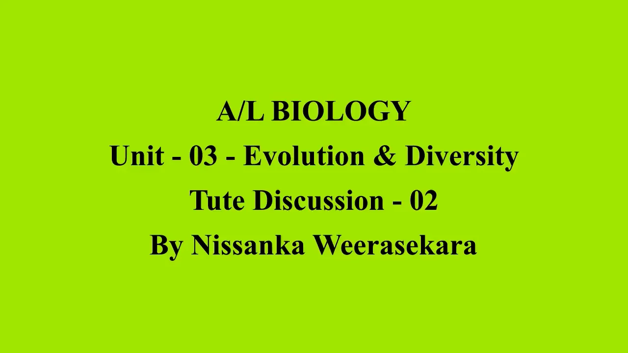 Unit - 03 Tute - 02 2024 on Vimeo