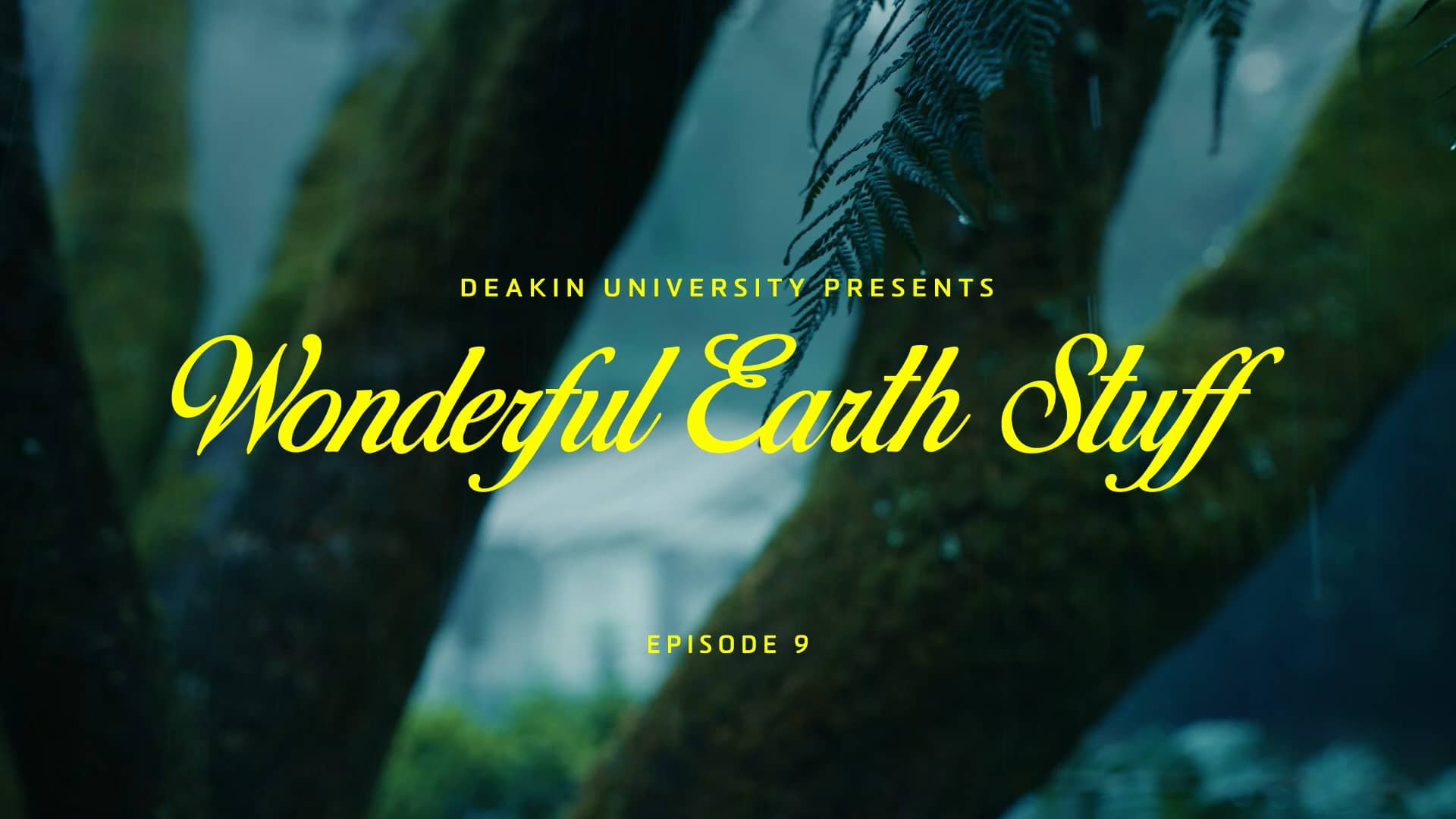 Deakin University - Wonderful Earth Stuff 'Rain' on Vimeo