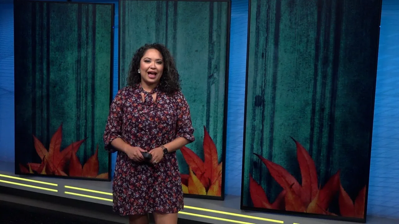 Austin Laura Begley Bloom Fall Travel SMT 2023 aircheck on Vimeo